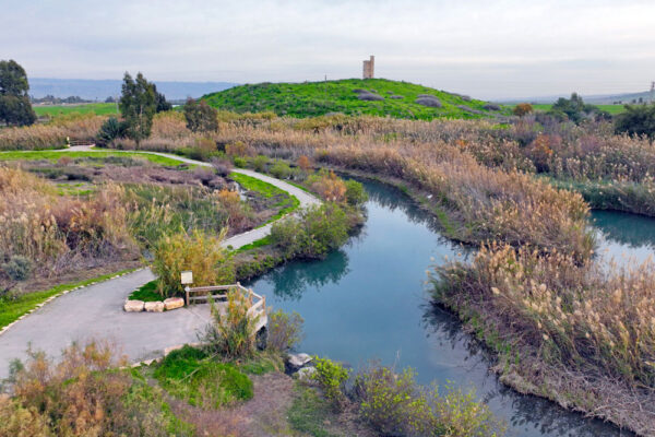 Exponential Impact from Your Donation - Nature Israel