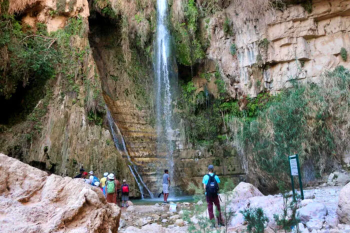 What We Do - Nature Israel