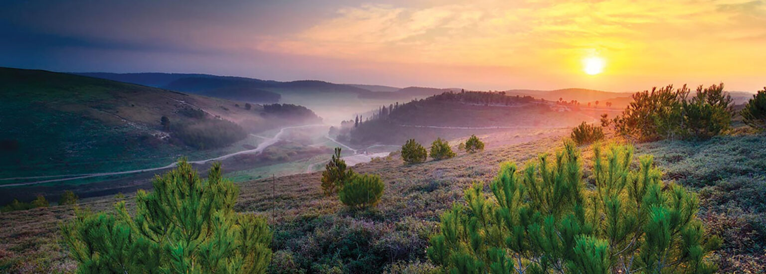 An Eye-Opening Presentation of Global Significance - Nature Israel