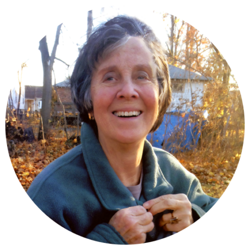 Nature Israel Homepage - Nature Israel