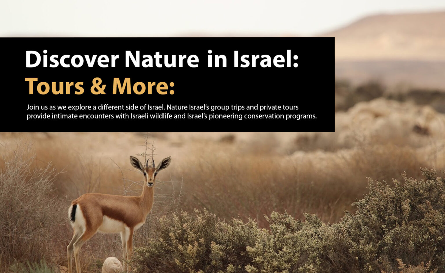 Main Page - Nature Israel